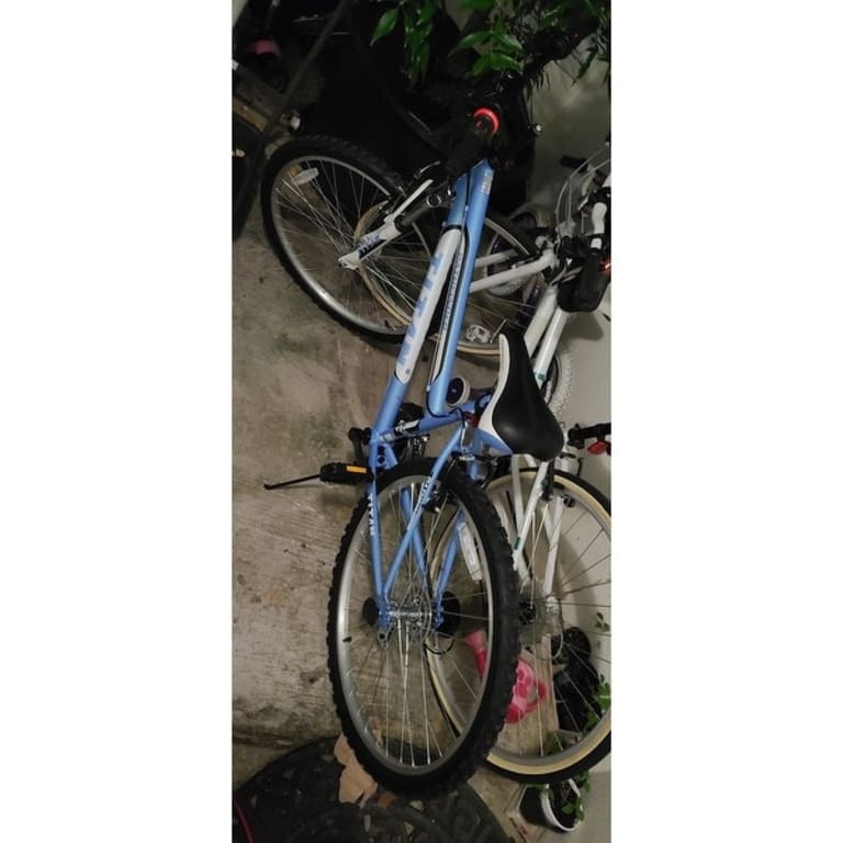 TITAN Pathfinder Women's Mountain Bike, 17-Inch Frame, 21-Speed, Front ...