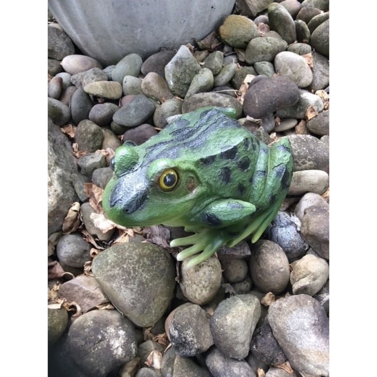 Design Toscano Ribbit the Frog, Garden Toad Statues: Set of Two - Bed ...