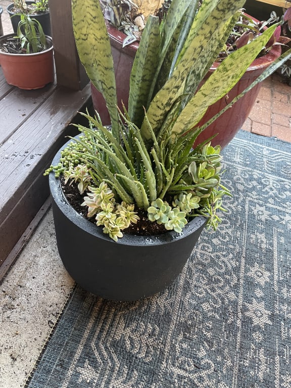 Japi Black Lead Rustic Cask Outdoor Planter, Medium