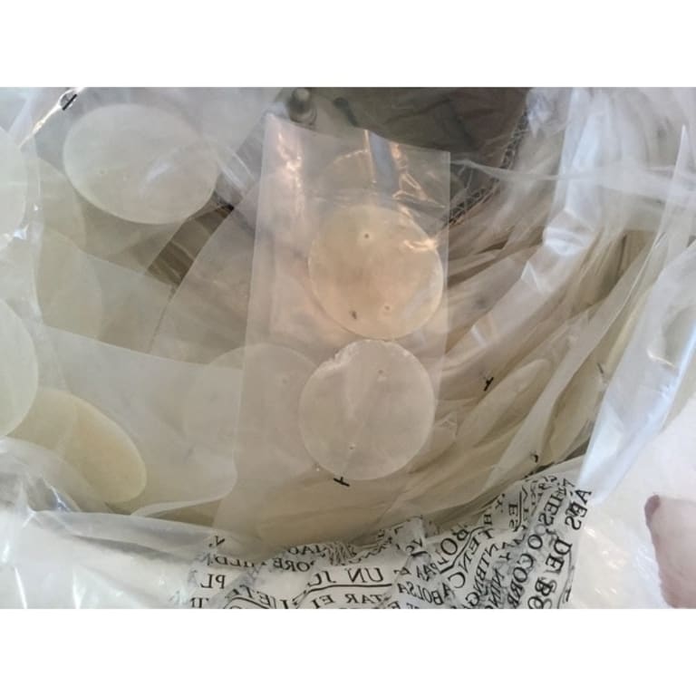 Vaxcel Lighting C0285 Elsa 3 Light 16" Wide Flush Mount Capiz Shells ...