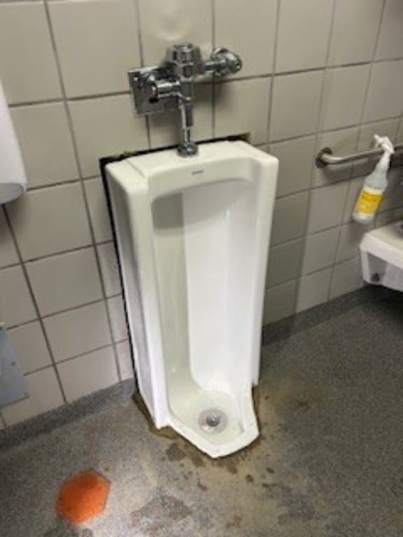 K-25039-T-0 - Kohler K-25039-T-0 - Branham Full Stall Washout Urinal w ...