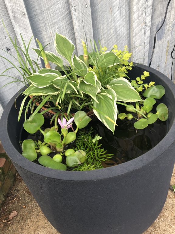 Japi Black Lead Rustic Cask Outdoor Planter, Medium