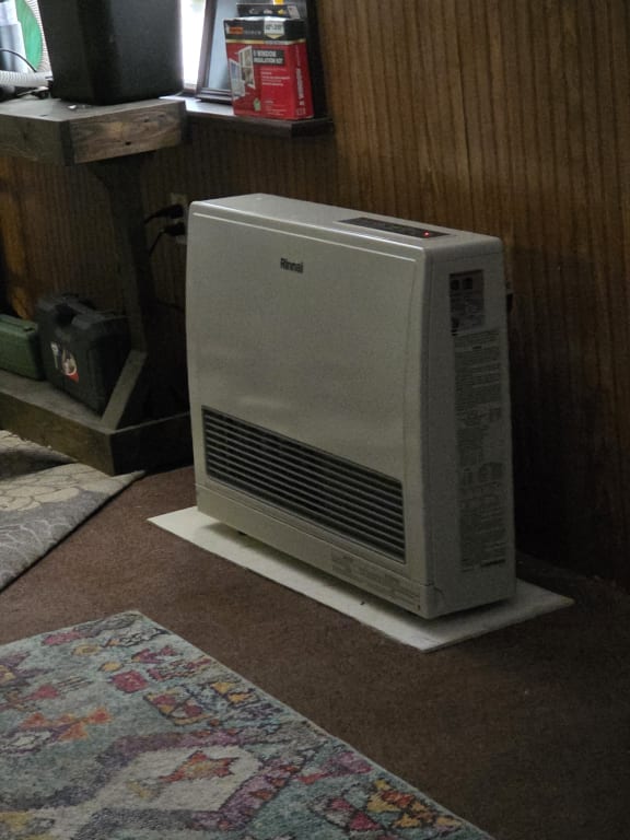 EX17DTP - Rinnai EX17DTP - EX17DTP 16,700 BTU, Beige Direct Vent Wall ...