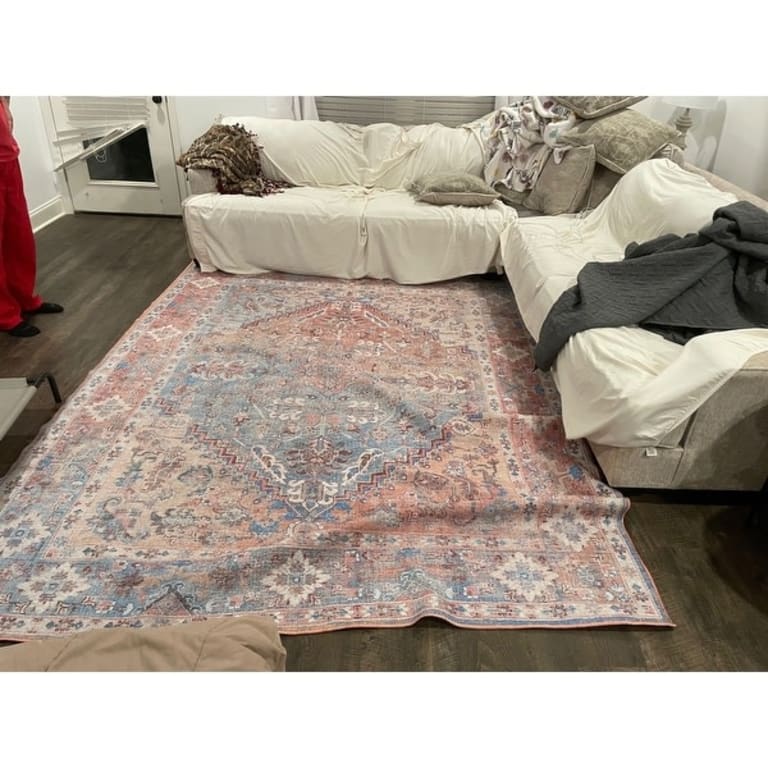 SAFAVIEH Serapi Machine Washable Ivan Shabby Chic Distressed Rug - On ...