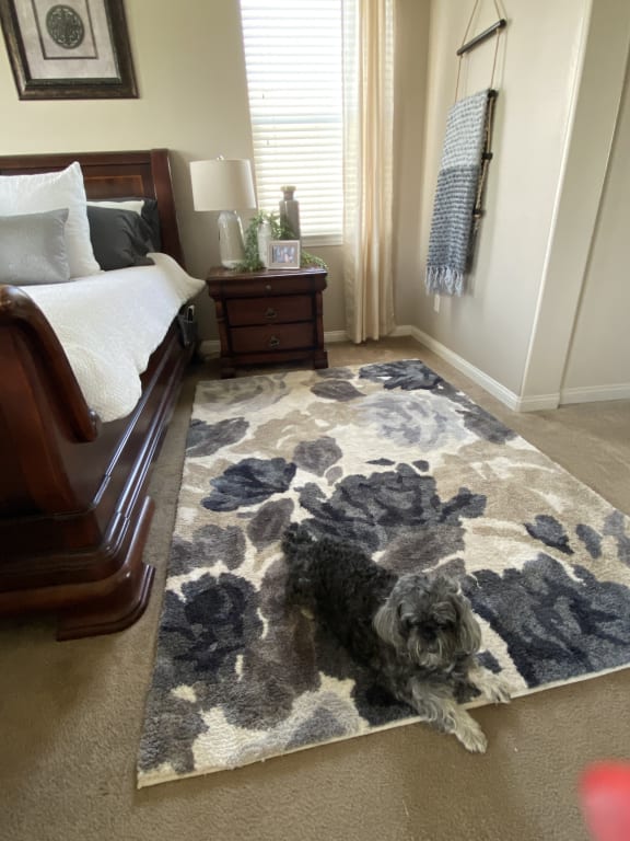 (A367) Natural Soft Touch Floral Area Rug, 5x7