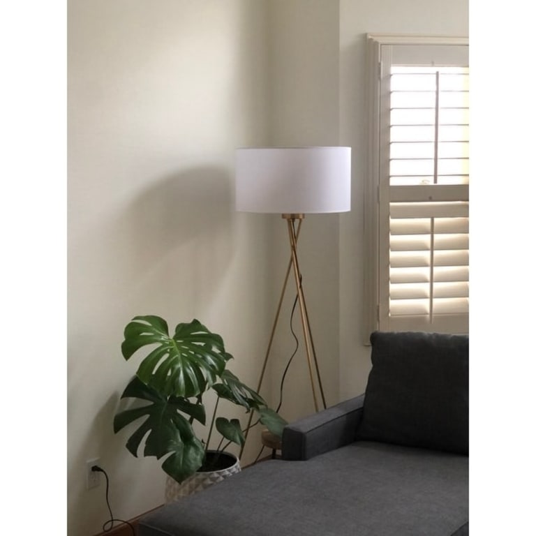 Meela Polished Brass 1-light Floor Lamp - Bed Bath & Beyond - 28126339