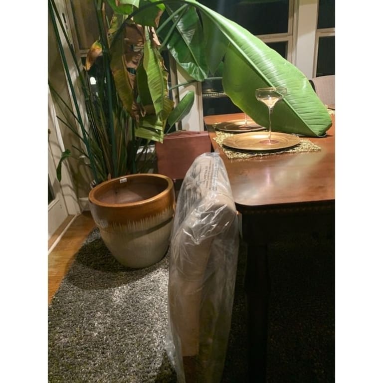 Tripton Counter Height Bar Stool (Set of 2) - Bed Bath & Beyond - 20666966