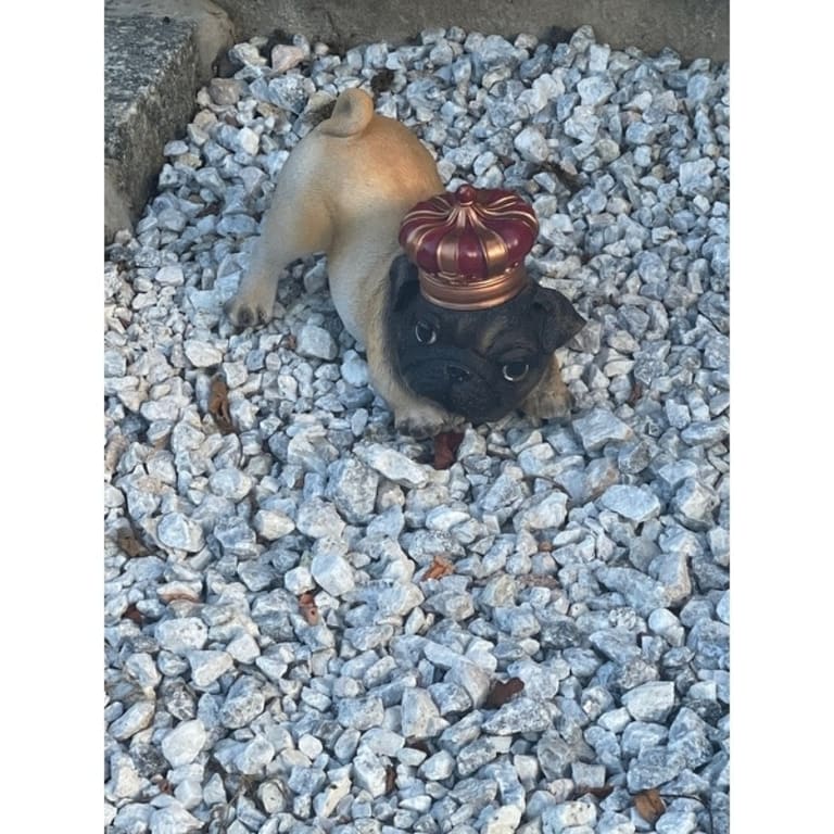 Playful Fawn Pug Puppy Resin Garden Statue - Bed Bath & Beyond - 30917082