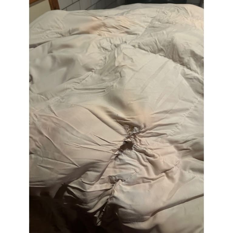 Truly Soft Cloud Puffer Comforter Set - On Sale - Bed Bath & Beyond ...