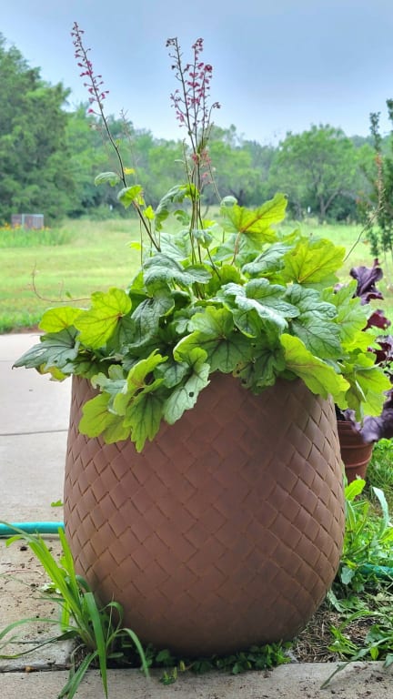 Oxnard Rust Outdoor Planter, Large | At Home