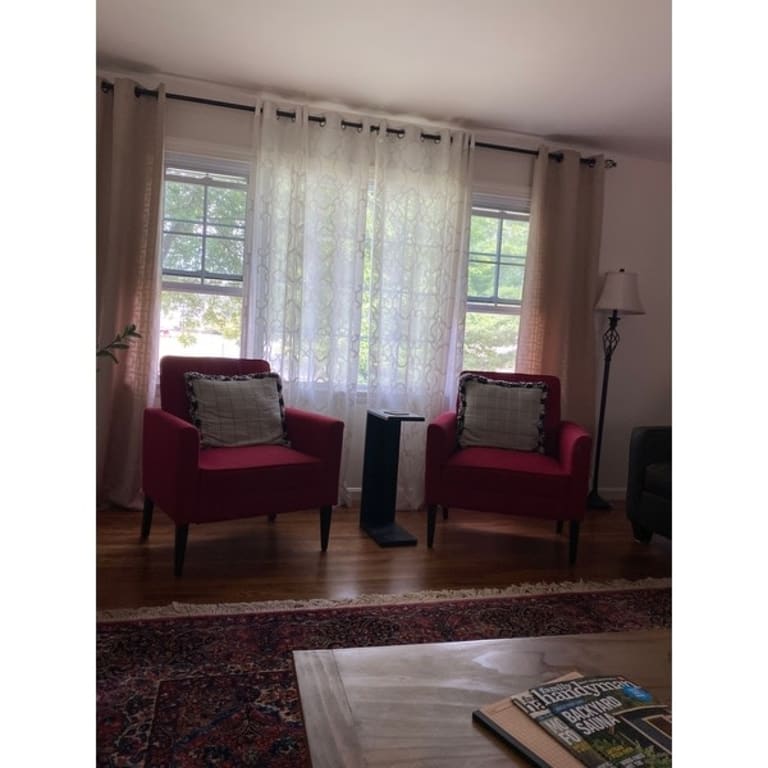 Furniture of America Cem Mid-century Modern Fabric Accent Chair - Bed ...