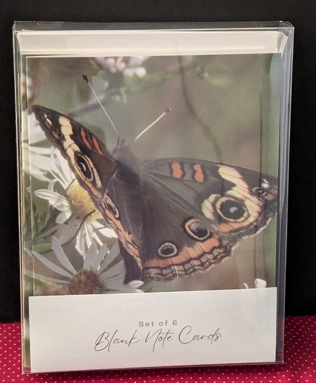 Kids Personalized Note Cards Templates & Designs | Vistaprint