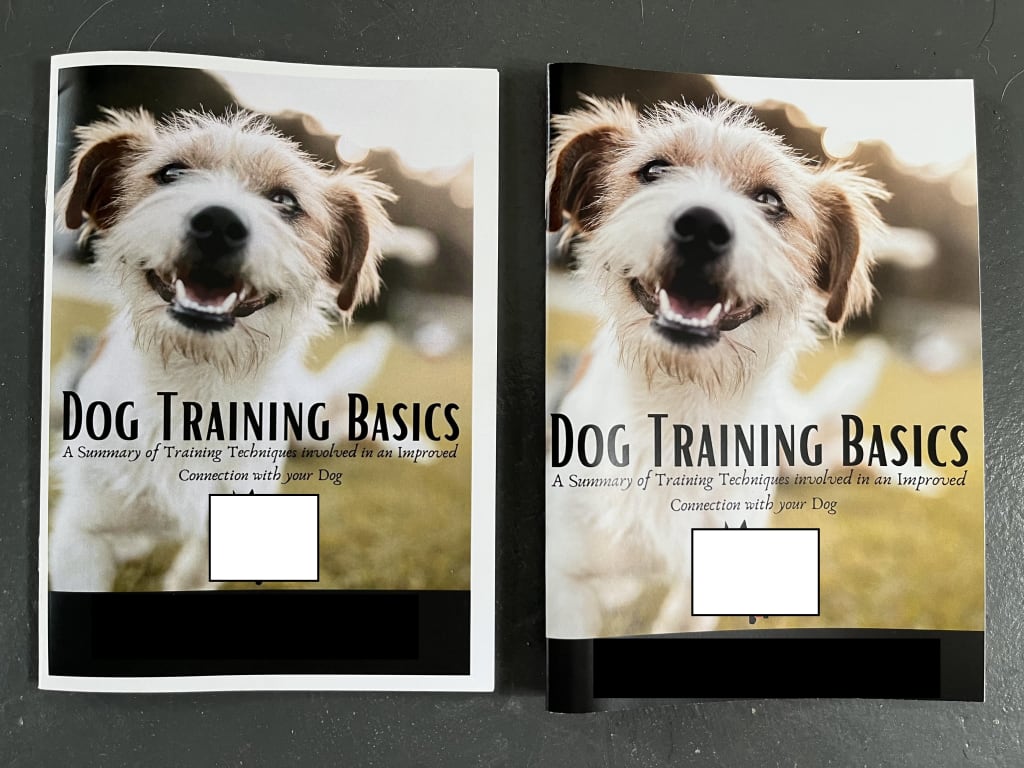 Booklets, Custom Booklet printing | VistaPrint AU