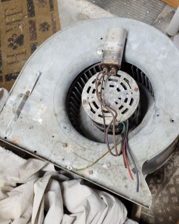 B1368016S - Goodman-Amana B1368016S - 10" x 8" Blower Wheel, B1368016S