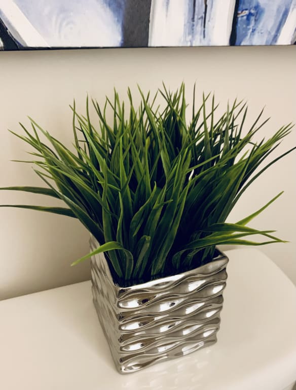 Grass Plant with Silver Wave Planter, 10"