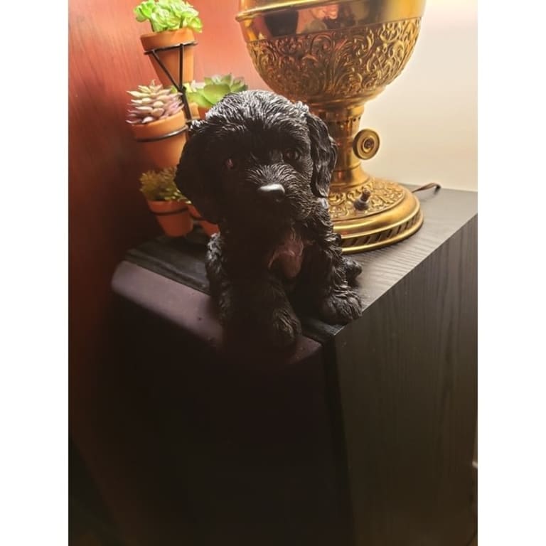 Cockapoo Puppy Statue - On Sale - Bed Bath & Beyond - 29045723