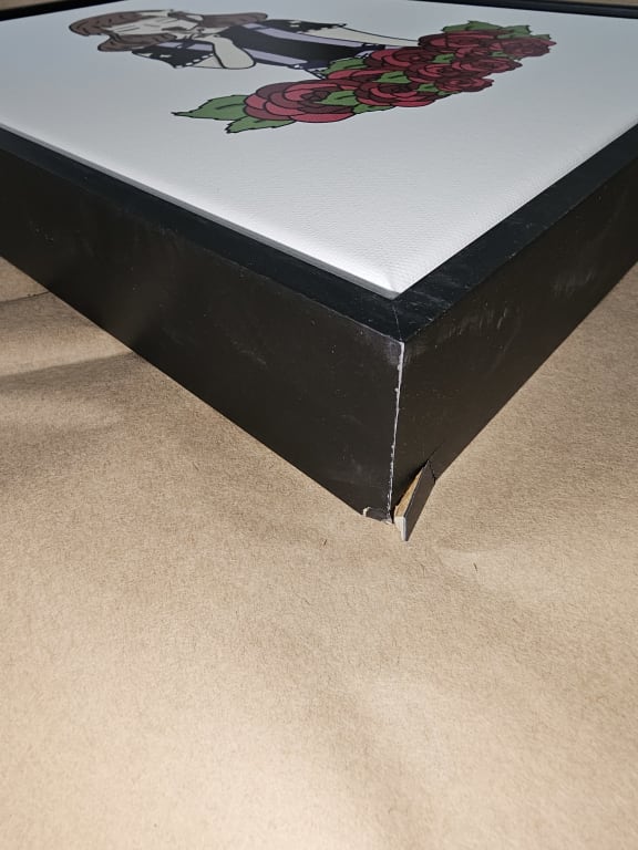 Custom Premium Photo Canvas | VistaPrint AU