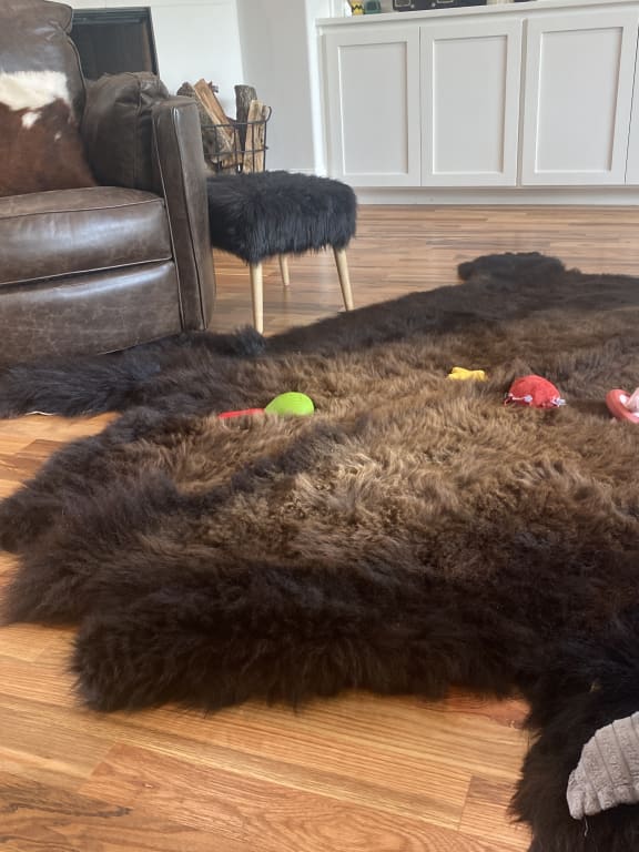 Buffalo Hide Area Rug | Overland