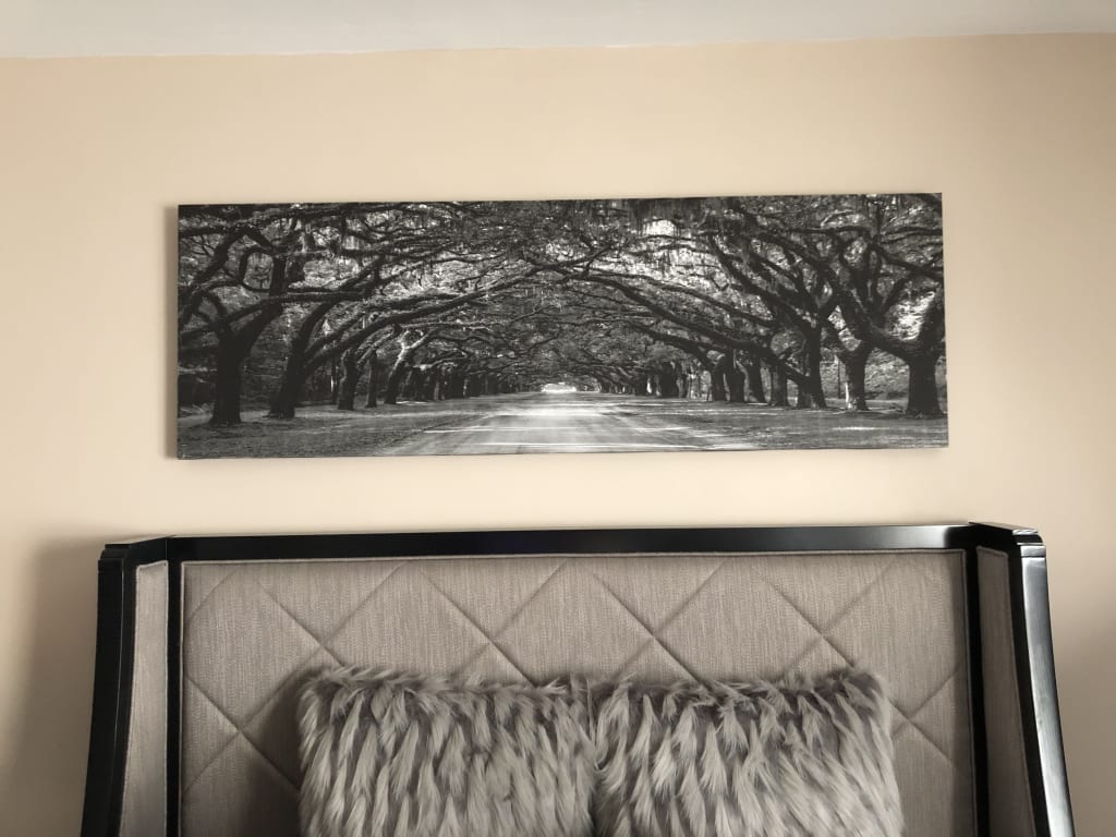 Oak Tree Path Canvas Wall Art, 60x20