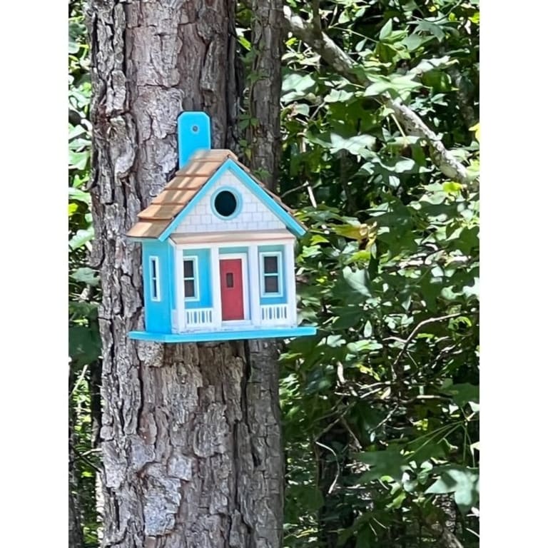 Outdoor Wooden Birdhouse, Bird-Friendly Perch (Cape Cod) - On Sale ...
