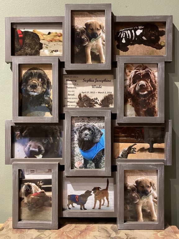 12-Opening Thankful, Grateful, Blessed Grey Collage Picture Frame, 18x23