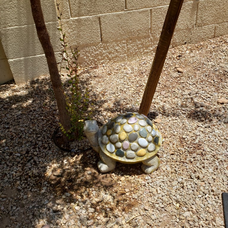 Turtle Outdoor Garden Statue, 8"