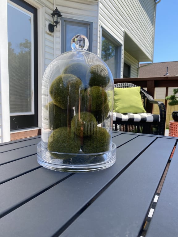 Clear Glass Cloche Tray, 12"