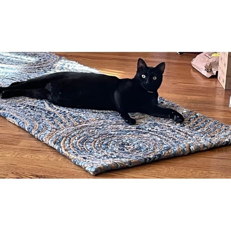 SAFAVIEH Handmade Cape Cod Cloe Coastal Jute Rug - On Sale - Bed Bath ...