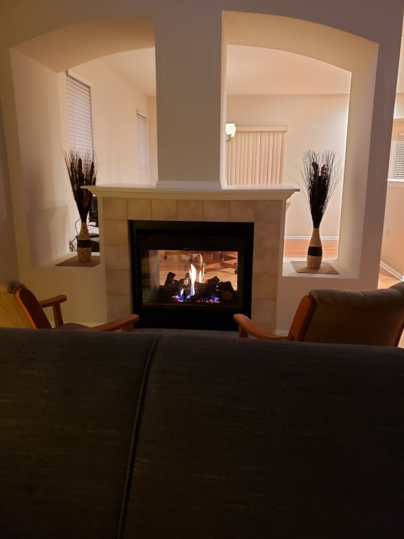 Dried Natural Buri Bundle, 40", Assorted Styles