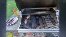 Bull Angus 30-Inch 4-Burner Built-In Natural Gas Grill With Rotisserie ...