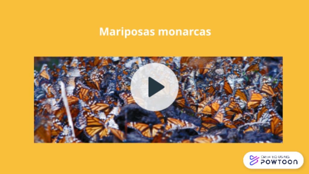 Powtoon - CARACTERÍSTICAS Y TIPOS DE MARIPOSA MONARCA