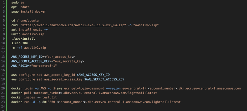 Automate application deployment with Lightsail instance - DEV Community