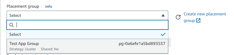 Decoding EC2 Placement Groups: Unveiling the Pros and Cons of Cluster ... Decoding EC2 Placement Groups: Unveiling the Pros and Cons of Cluster ...