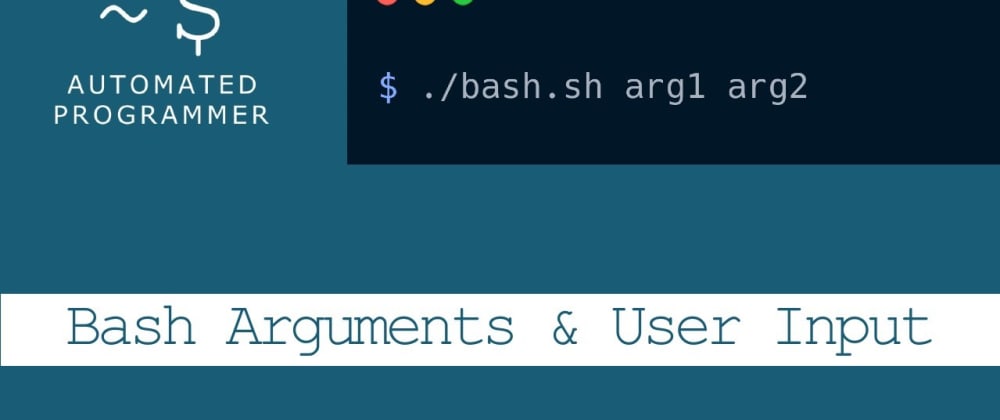 Bash Scripting Command Arguments And User Inputs 5 Mins Dev Community