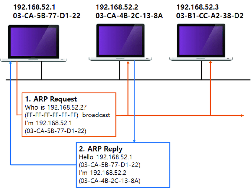 Network Scanning with Scapy in Python - DEV Community