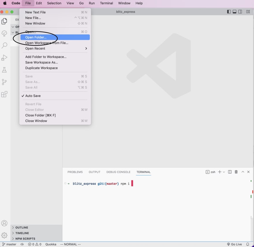 Développer Une Api Rest Avec Nodejs Express Et Mongodb 1 Configuration Du Projet Dev Community