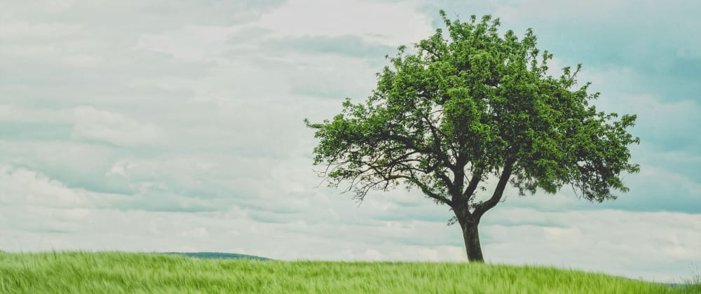 Building A React Folder Tree Component Dev Community