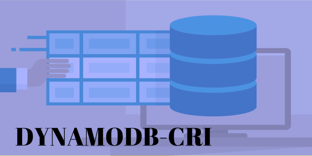 Dynamodb Cri Dynamodb Model Wrapper To Enhance Dynamodb Access Dev Community