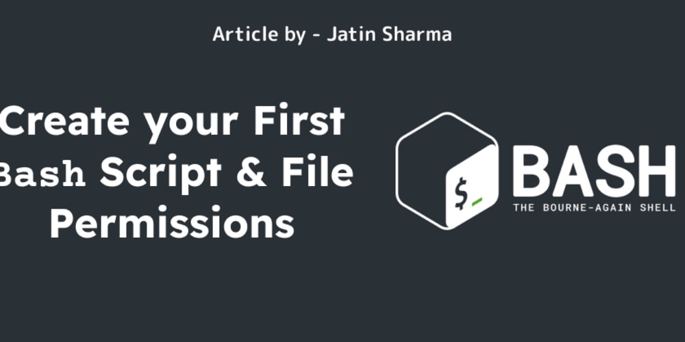 Create Bash Script And File Permissions Dev Community