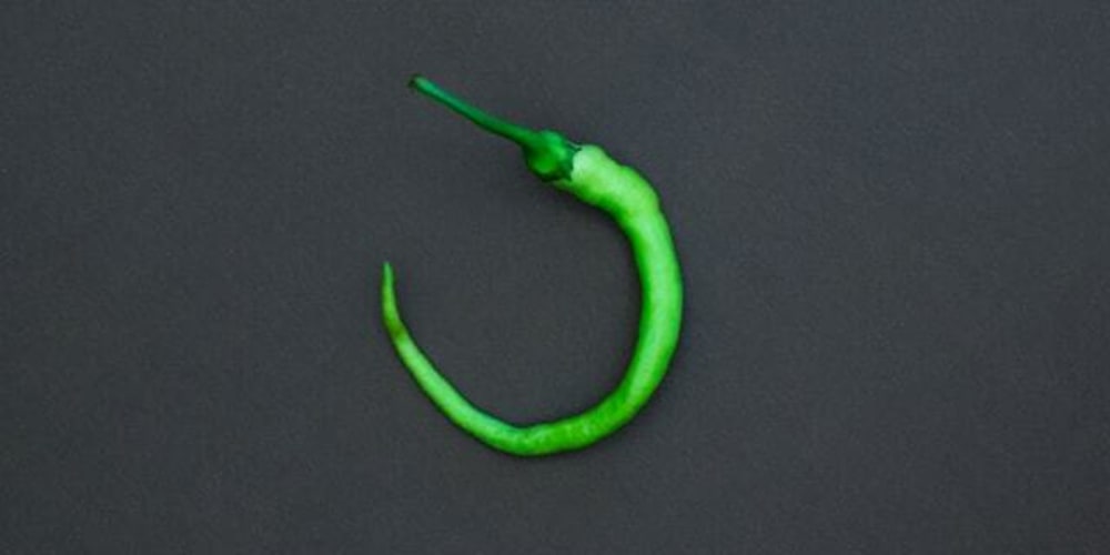 Creating Custom Hook For Fetching Data In React Dev Community