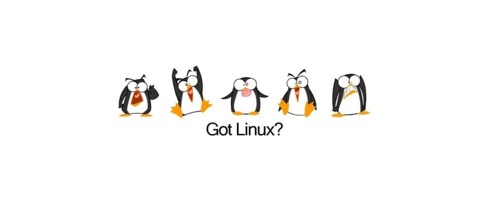 The Linux Guidecheatsheettutorial Commands Directories Etc Dev Community