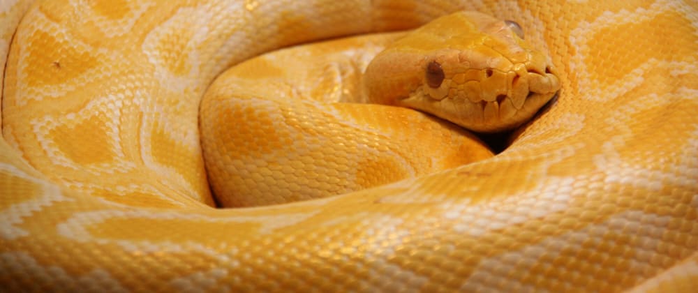 Following redirects with http.client Python module - DEV Community