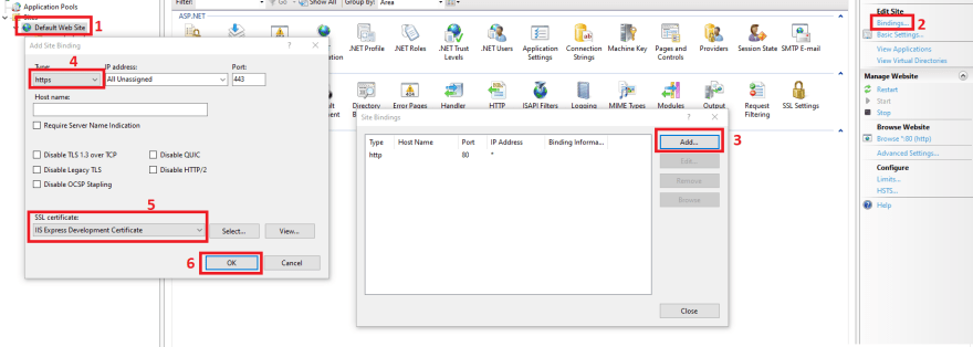 Publishing Spa Application Aspnet Core Angular On Iis Server Dev Community