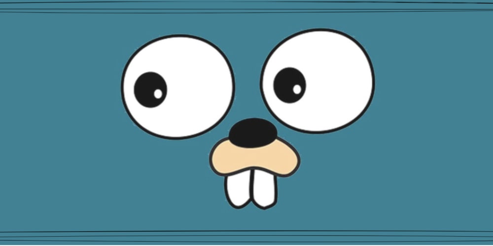 Go Struct Validation The Idiomatic Way Dev Community
