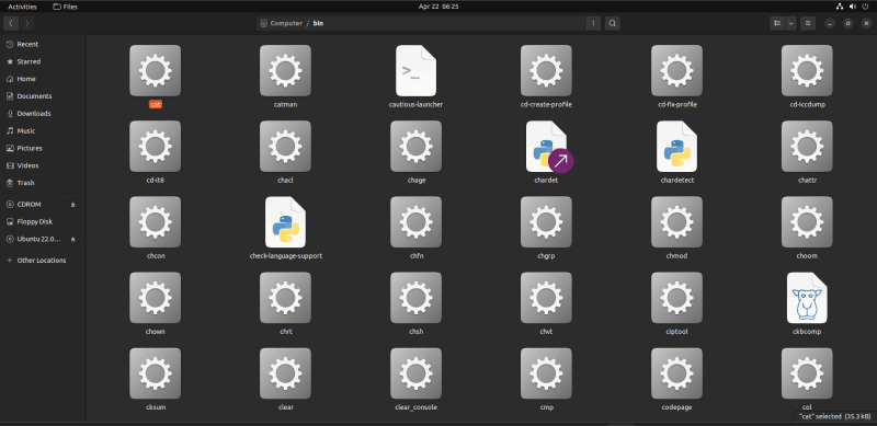 Understanding Linux File System An Overview Of Essential Directories Dev Community