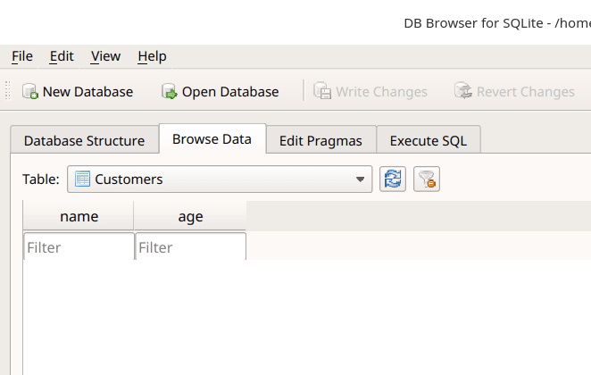 Beginners Guide To Integrating Python And Sql Dev Community