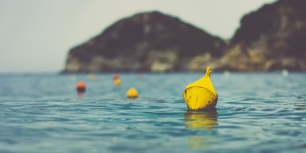 Html Css Form With Floating Labels Dev Community
