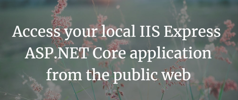 Access Your Local Iis Express Asp Core Application From The Public Web Dev Community