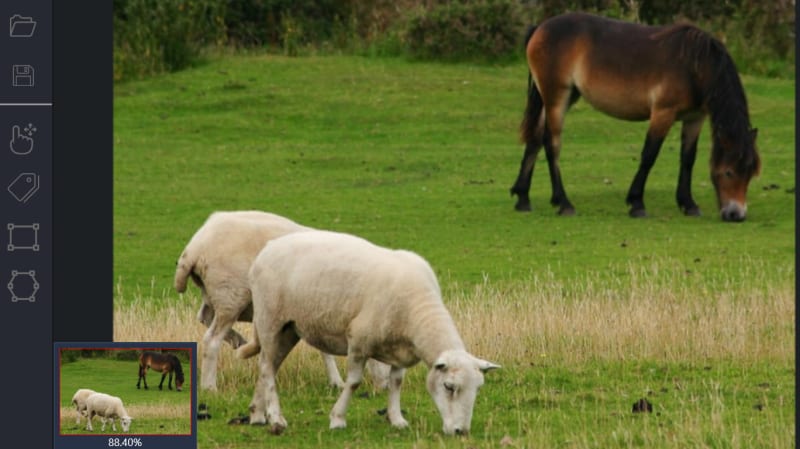 A Beginner S Guide To Online Image Labeling And Annotation Using Pixlab Annotate Dev Community