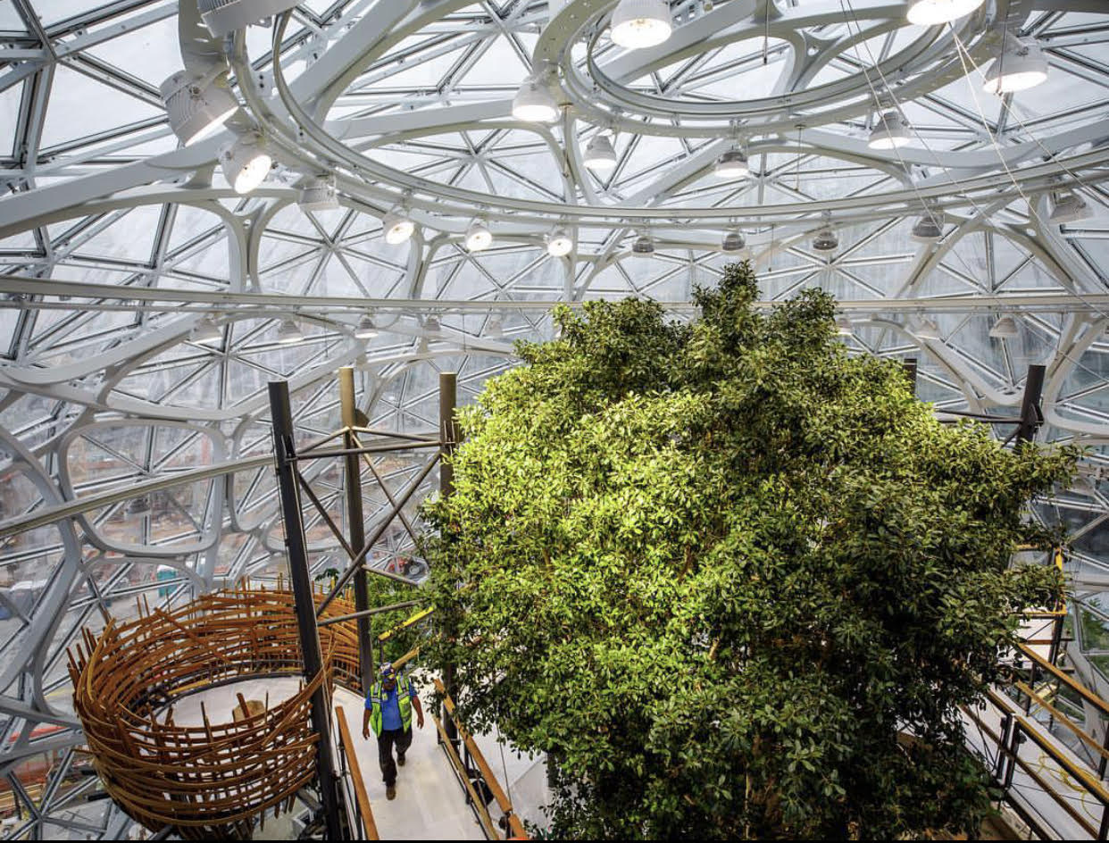 Alternative Workspaces: Unusual Environments that Inspire Creative Minds